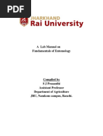 Practical Manual for Entomology Course | PDF | Insects | Hexapoda