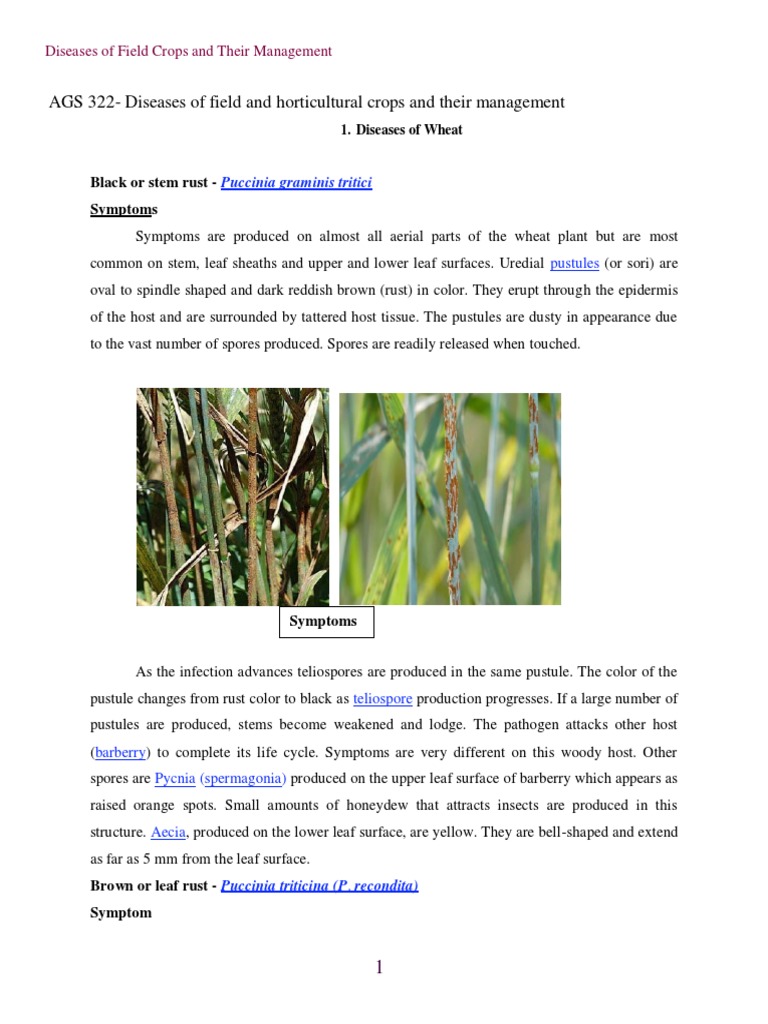 AGS 322 Diseases of Field Crops and Their Management | PDF | Organisms | Branches Of Botany