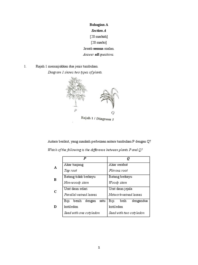 Soalan Final T2 Sains | PDF | Meteoroid | Heat Transfer