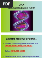 Kami Export - POGIL 1 DNA Structure | PDF | Dna | Nucleotides