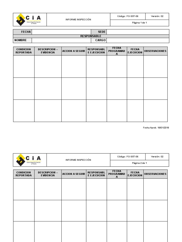 Fo-Sst-06 Informe Inspeccion 2018 Imprimir | PDF