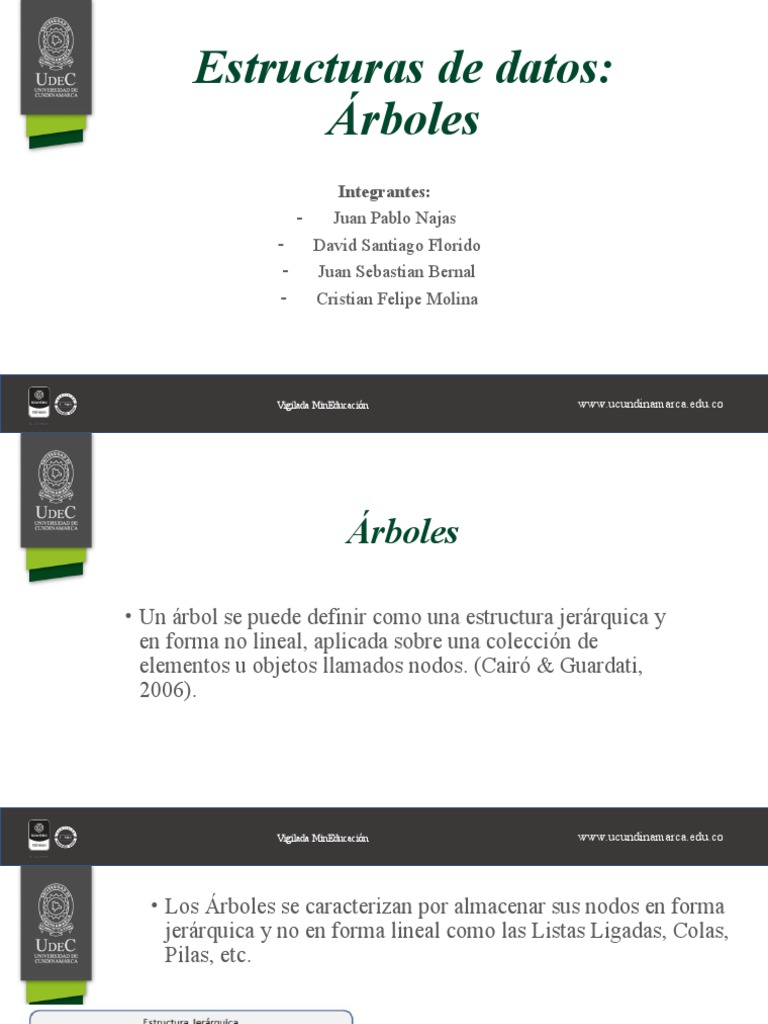 Estructura de Datos Arboles | PDF | Algoritmos y Estructuras de Datos ...