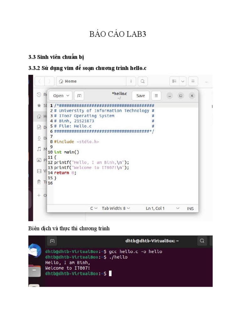 Báo Cáo Lab3 | PDF
