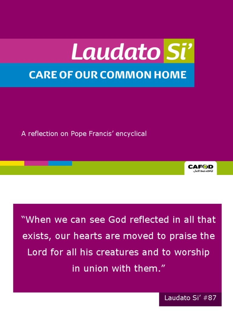 Laudato Si Reflection of Encyclical | PDF
