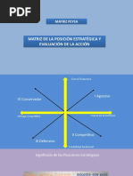 Plantilla de La Matriz PEYEA | PDF
