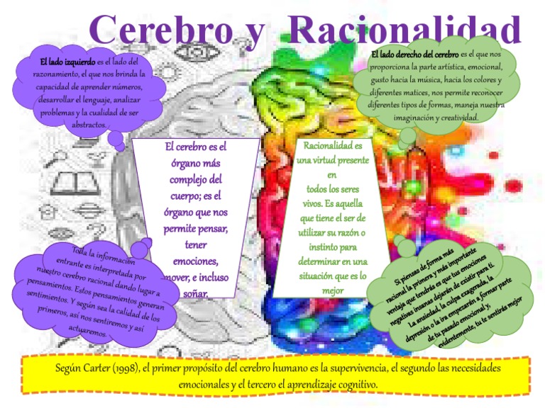 Cerebro y Racionalidad | PDF | Racionalidad | Aprendizaje