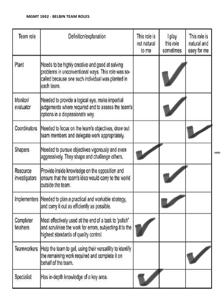 Belbin Team Role Activity | PDF