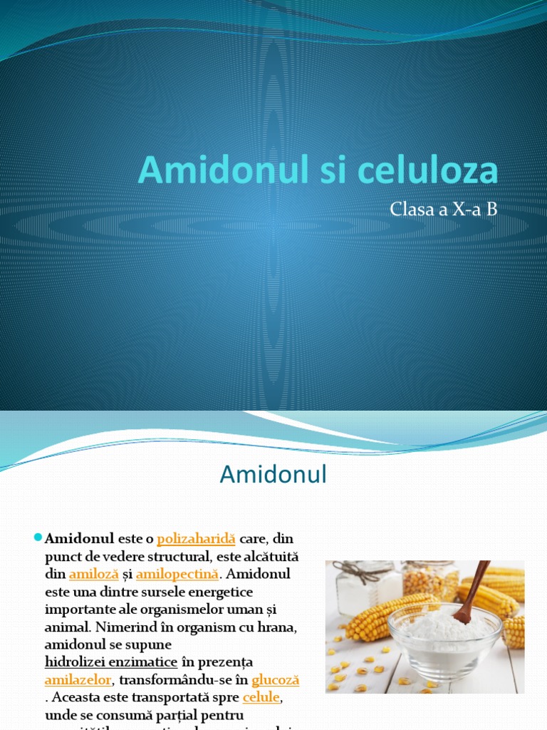 Amidonul Si Celuloza | PDF
