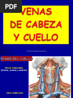 Yugular Interna, Externa | PDF | Sistema cardiovascular | Anatomía