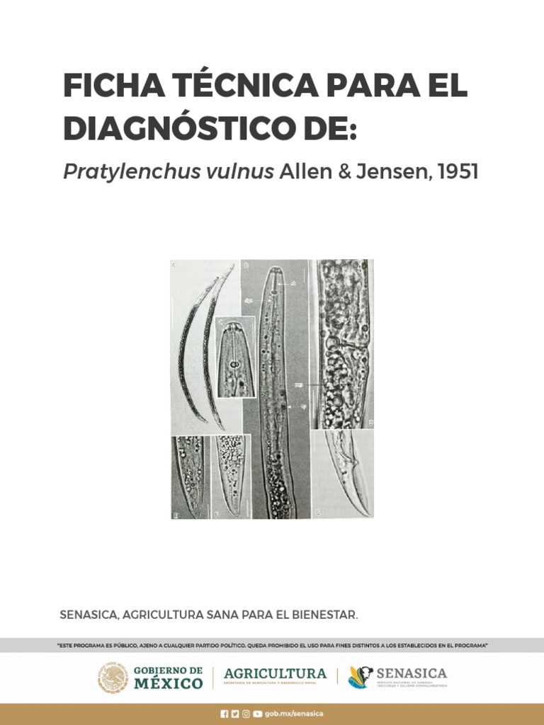 Ficha T Cnica Pratylenchus Vulnus | PDF