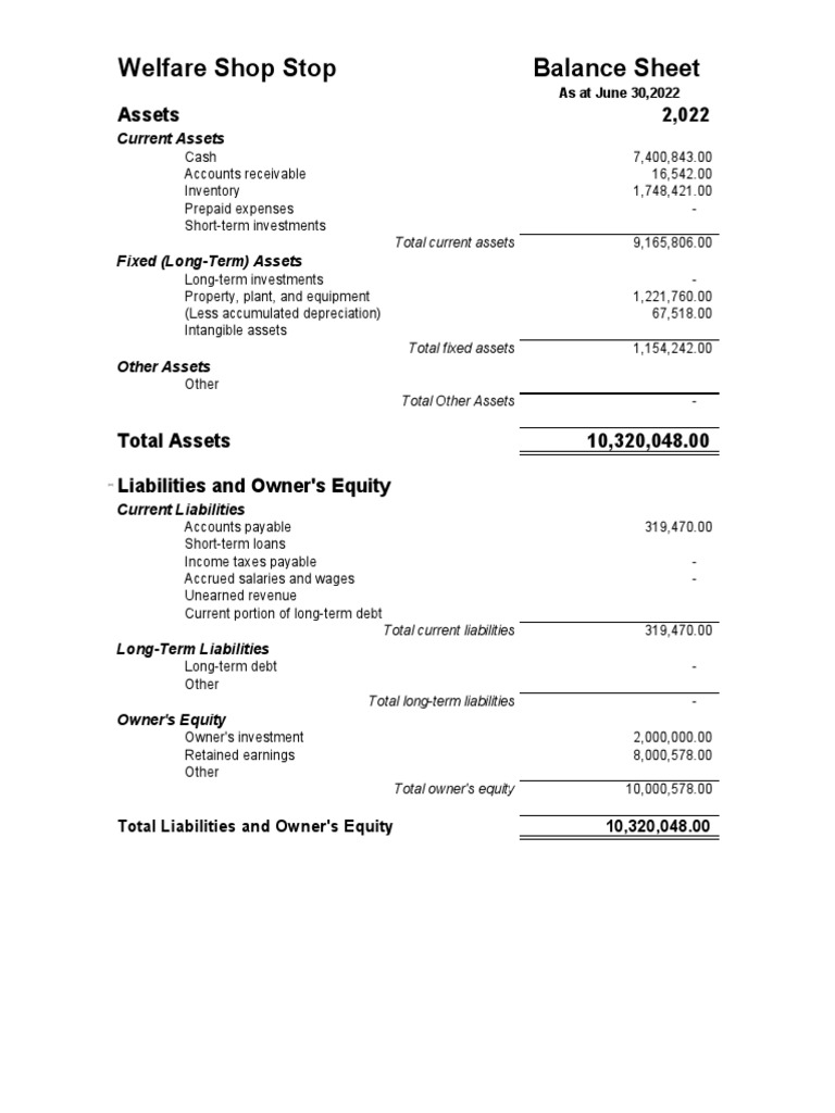 Balance-Sheet 2022 | PDF | Balance Sheet | Equity (Finance)