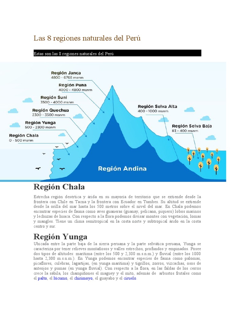 Las 8 Regiones Naturales Del Perú | PDF