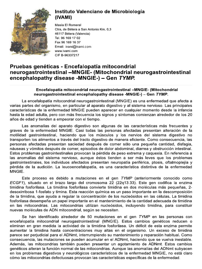 Pruebas Genéticas - Encefalopatía Mitoc... y Disease - MNGIE-) - Gen ...
