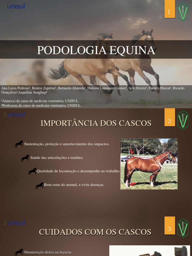 Importância da podologia equina para o bem-estar e desempenho dos equinos | PDF | Medicina ...
