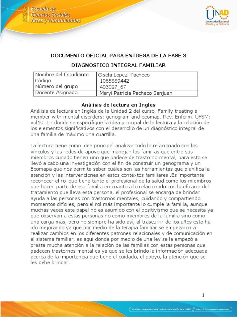 Anexo 4 - Formato Informe Diagnostico Familiar | PDF | Familia | Comportamiento