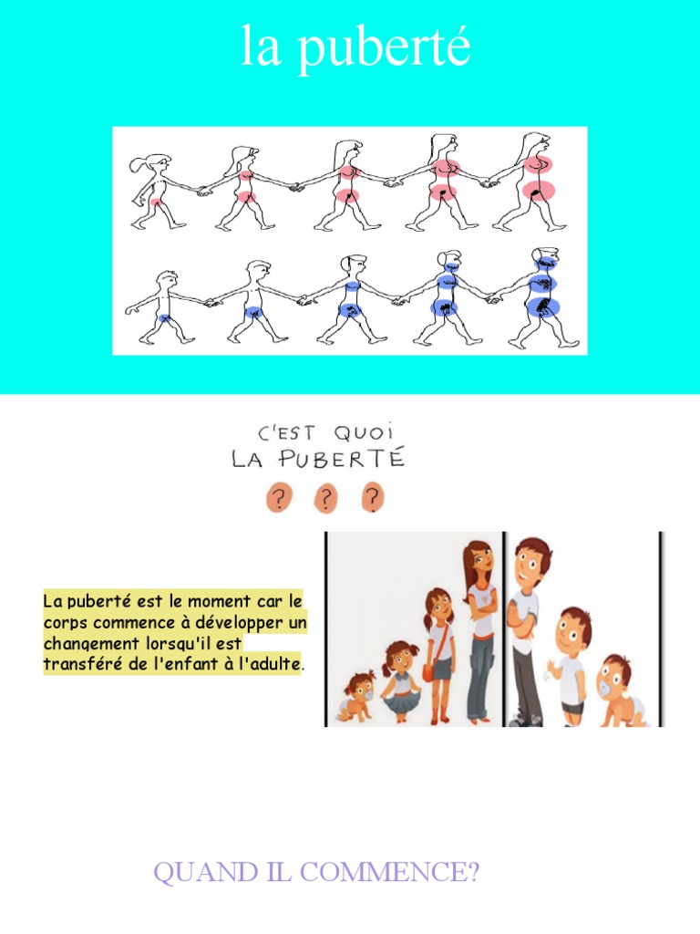 Puberté chez les garçons : changements clés | PDF | Puberté