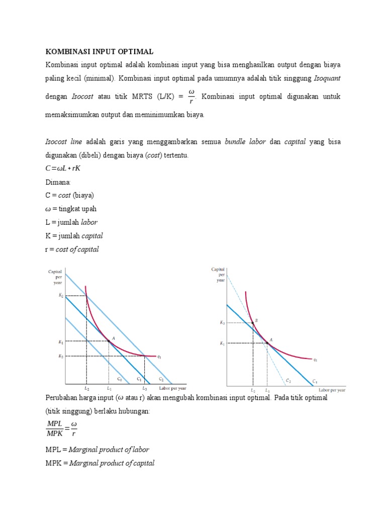 Kombinasi Input Optimal & Biaya Minimal | PDF | Metode & Bahan Ajar