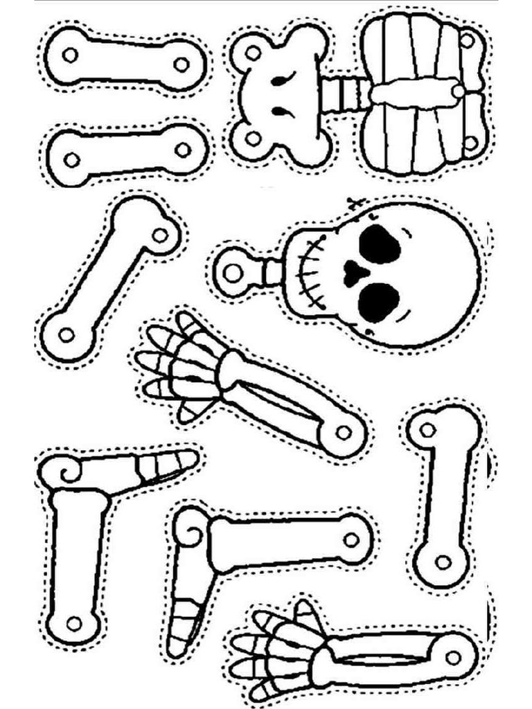 Build A Skeleton | PDF