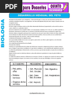 TEMA 3 Embriología-Animal-para-Tercer-Grado-de-Secundaria | PDF ...