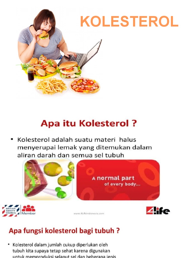 Kolesterol | PDF
