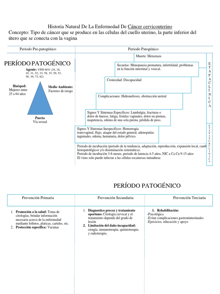 Hne Cacu | PDF | Cáncer de cuello uterino | Medicina