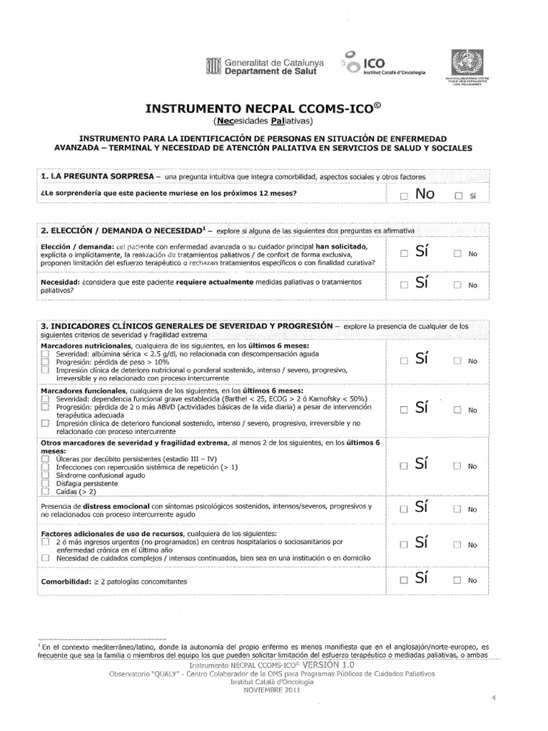 Formato Necpal | PDF