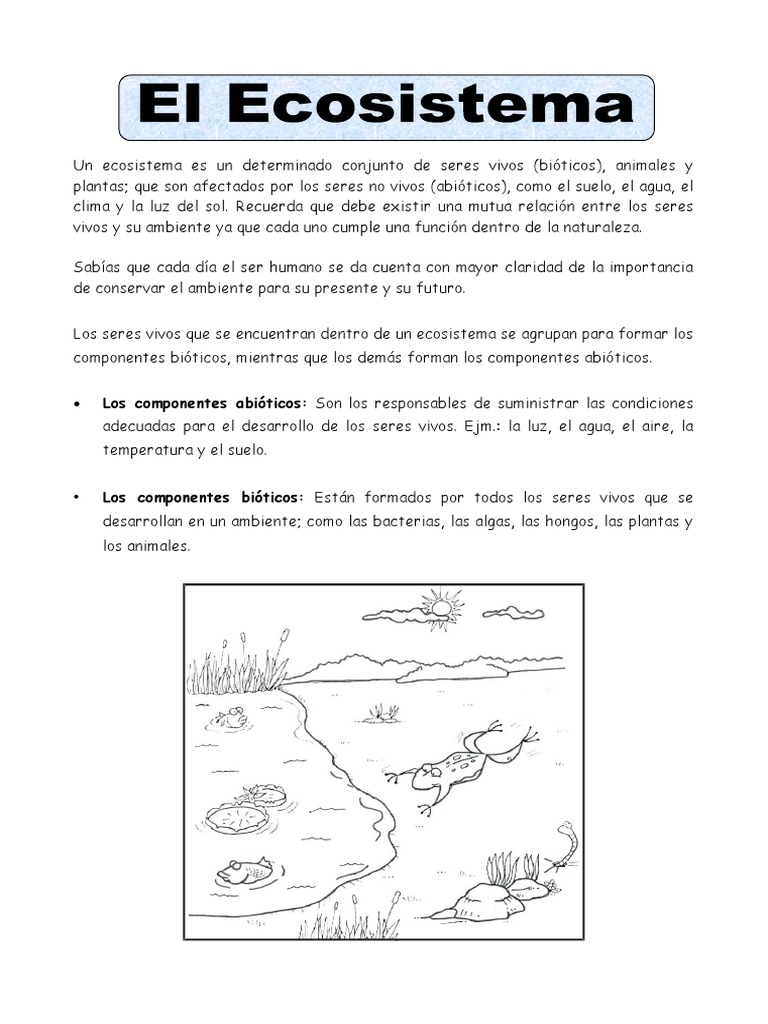 Tipos y funciones de los ecosistemas | PDF | Ecosistema | Entorno natural