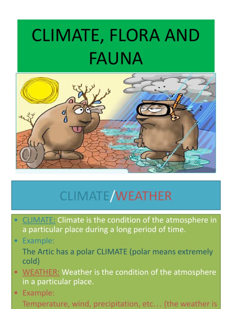 CLIMATE, FLORA AND FAUNA | PDF | Climate | Oceanic Climate