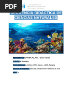 Secuencia Didáctica Medio Ambiente | PDF | Entorno natural | Contaminación