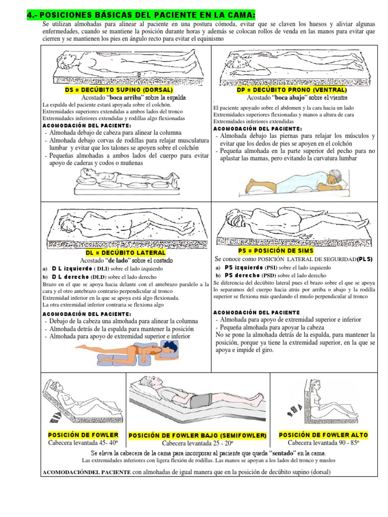 Posiciones Básicas en La Cama | PDF | Términos anatómicos de ubicación ...