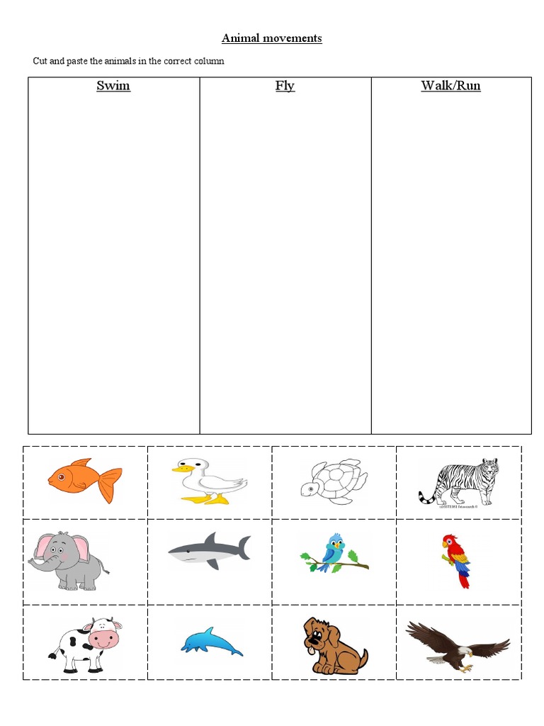Animal Movements Classify | PDF