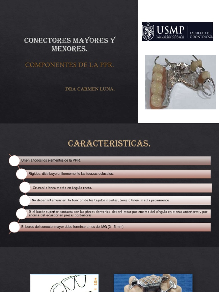 TEORIA 7. Componentes de La PPR-Conectores Mayores y Menores | PDF ...