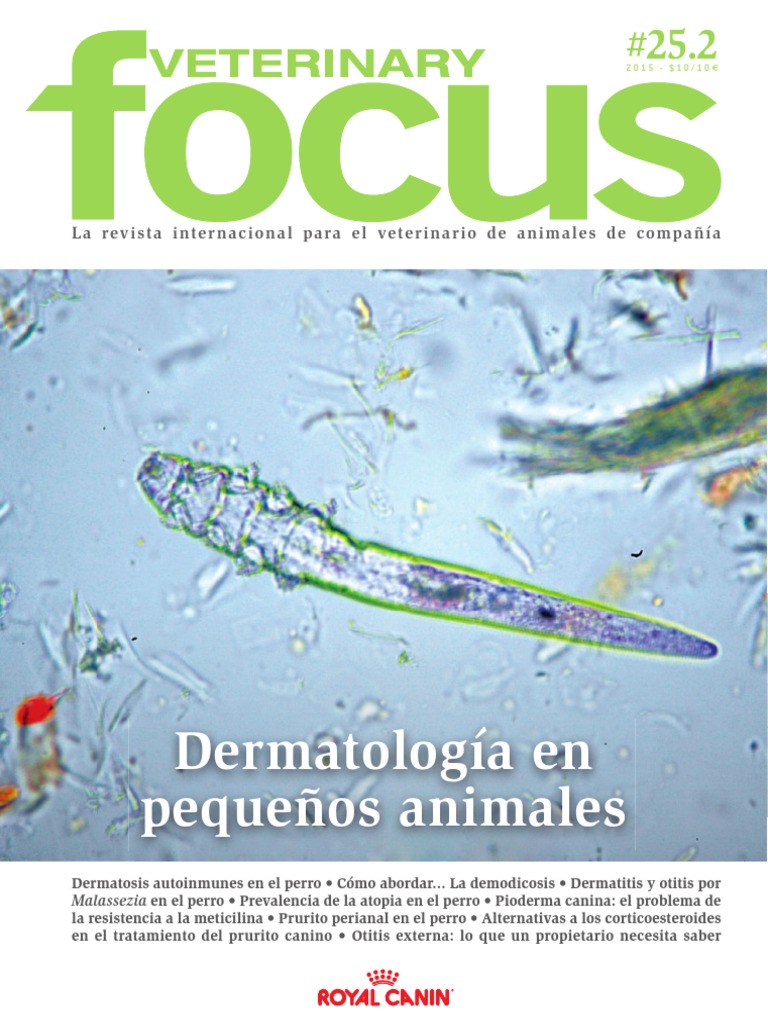 Veterinary Focus 2015 252es | PDF | Sistema inmune | Glucocorticoides