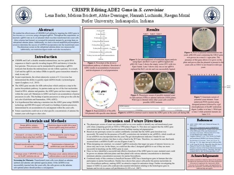 Crispr Poster | PDF | Gene | Plasmid
