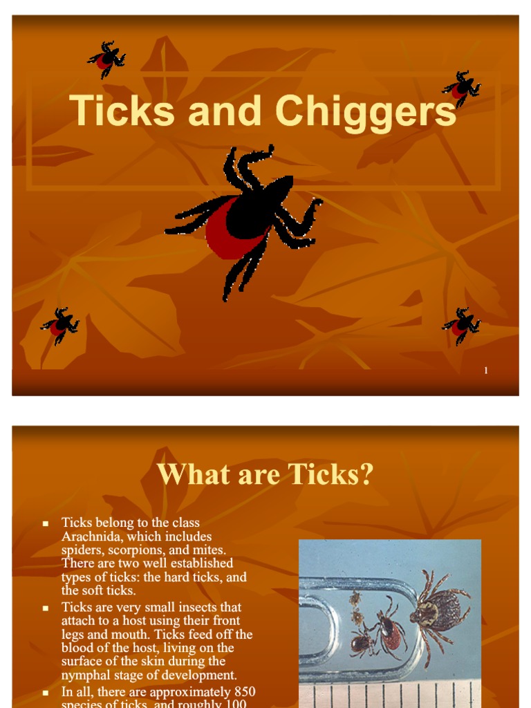 Chiggers - Slide Show Presentation | PDF | Lyme Disease | Diseases And ...