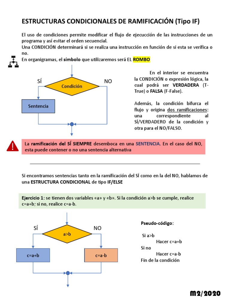 Estructuras Condicionales Tipo IF M2 | PDF | Programación de ...