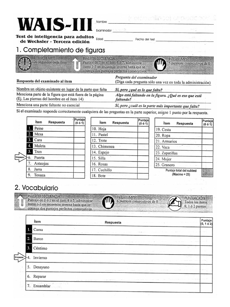 WAIS III - Protocolo Completo | PDF