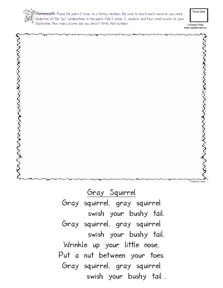 Gray Squirrel | PDF