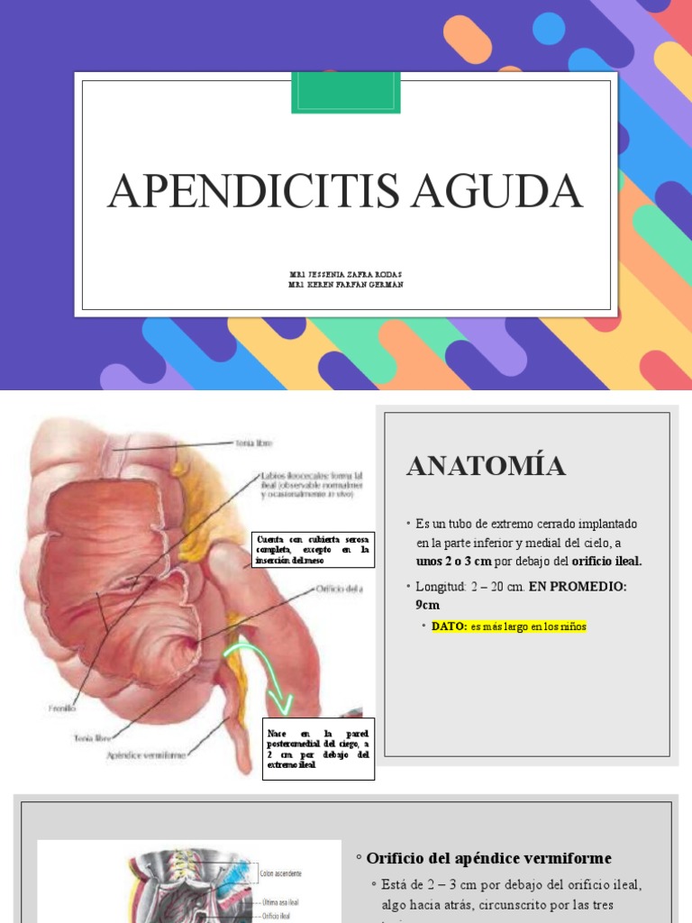Apendicitis Aguda | PDF | Abdomen | Sistema digestivo
