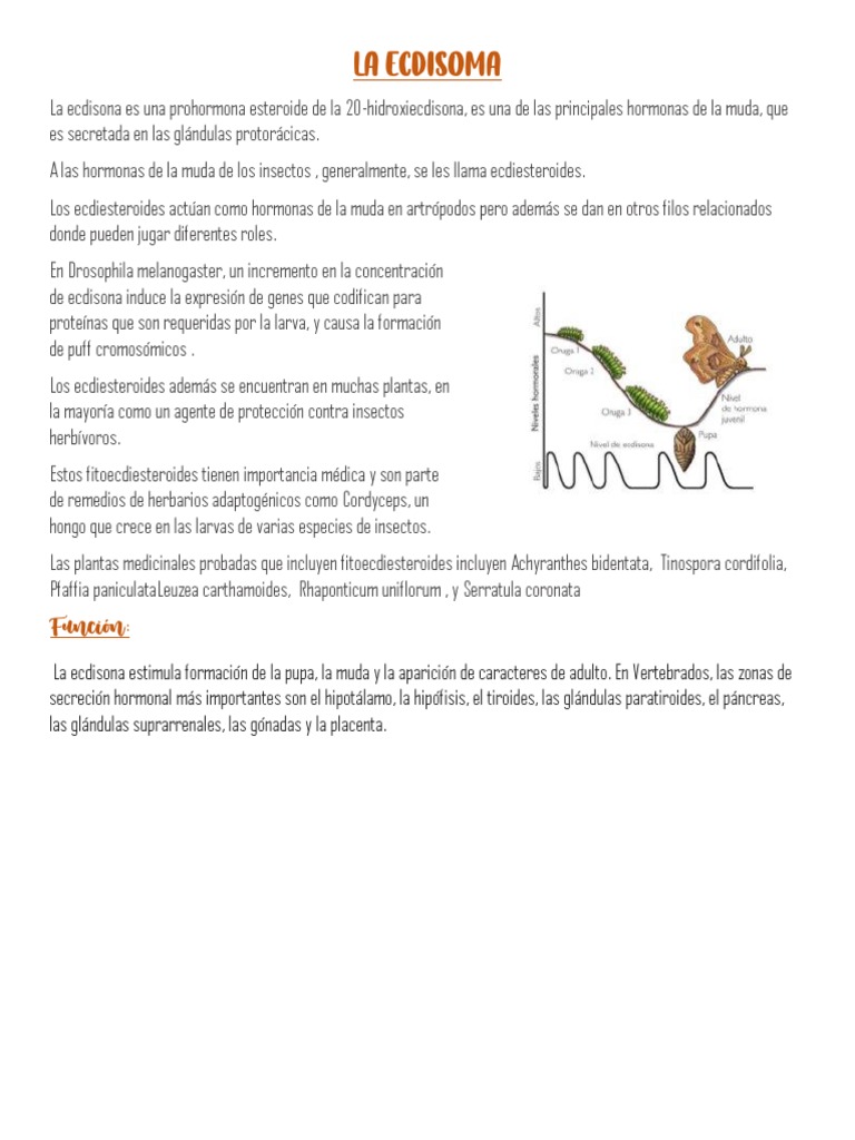 La Ecdisoma | PDF | Ciencia y matemáticas