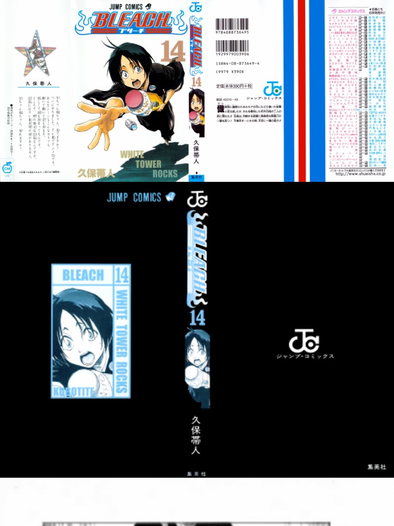 Bleach Vol. 14 | PDF