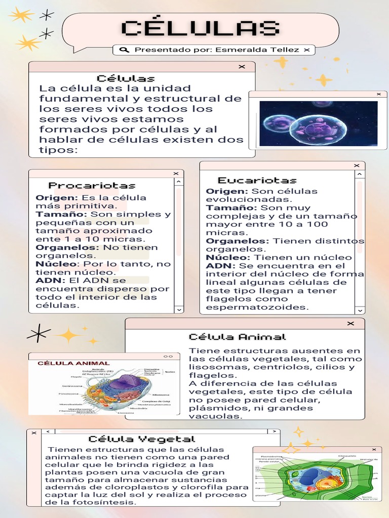 Infografía De La Celula Pdf