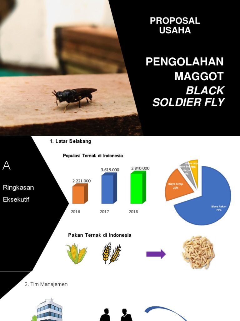 Proposal Usaha Pengolahan Maggot BSF | PDF