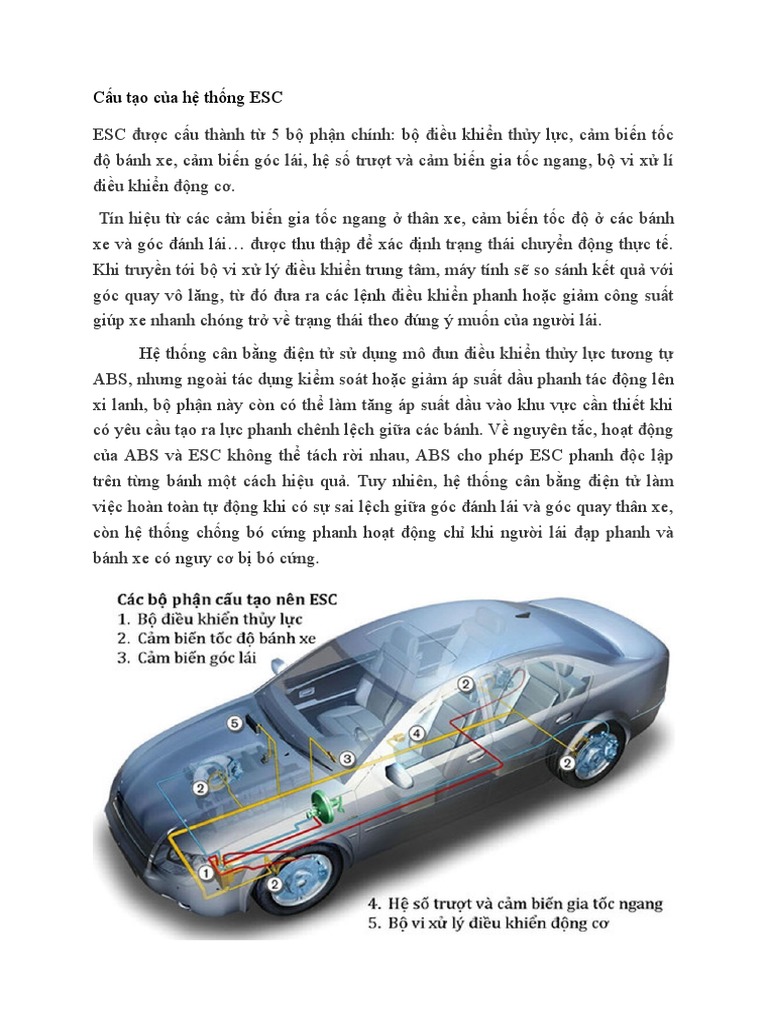 Cấu tạo hệ thống ESC | PDF