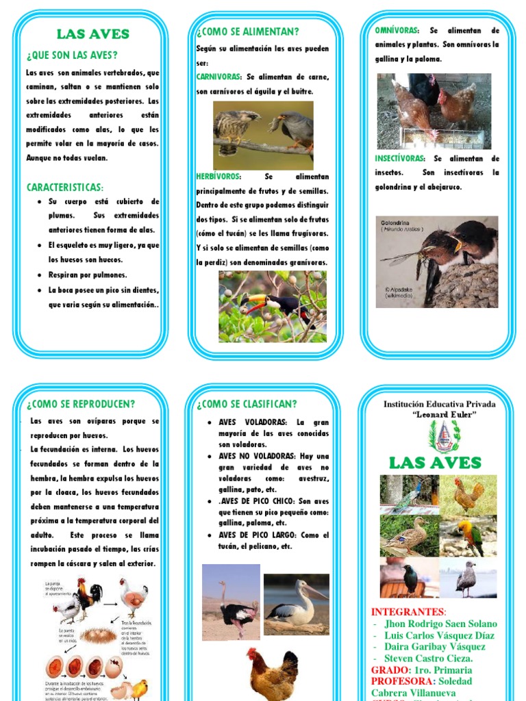 Las Aves | PDF | Aves | Pollo