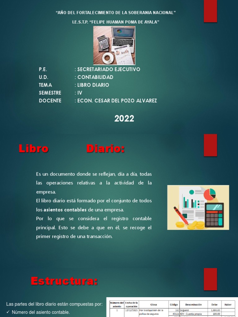 Libro Diario 2o22 | PDF