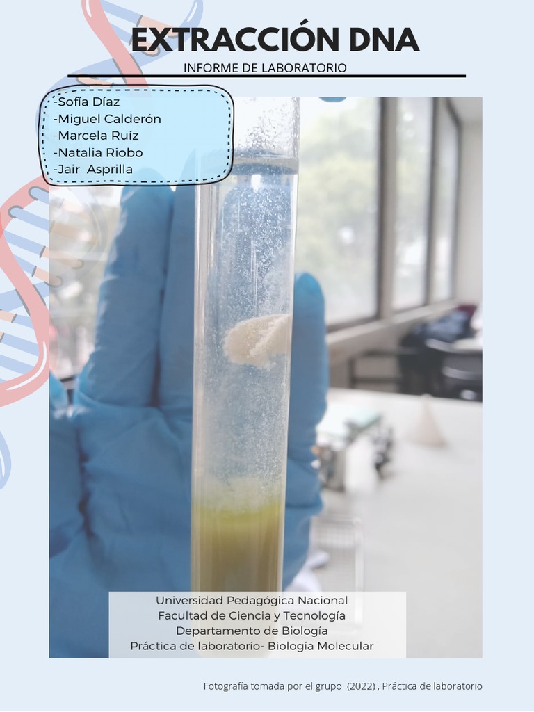Laboratorio Extracción DNA | PDF | Organismos | Adn