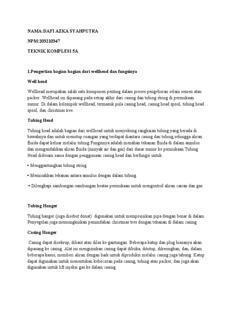 Well Head Dafi | PDF