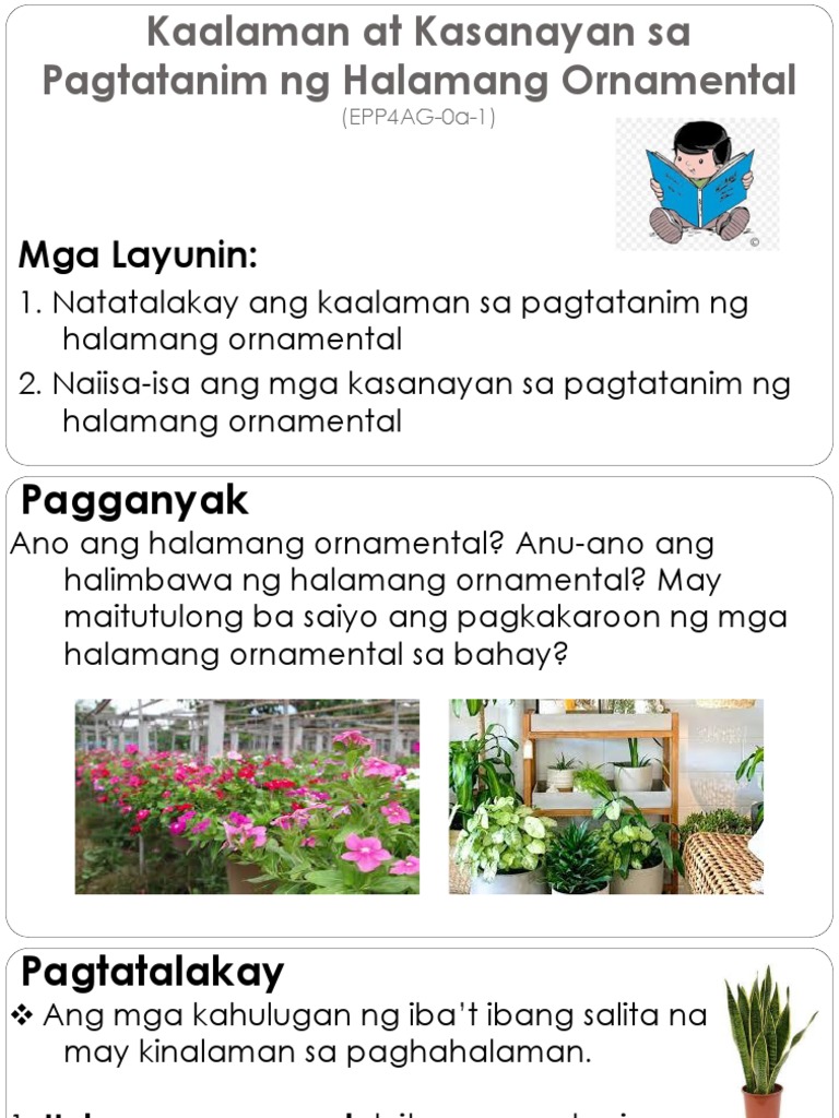 EPP-4-Lesson-1 | PDF