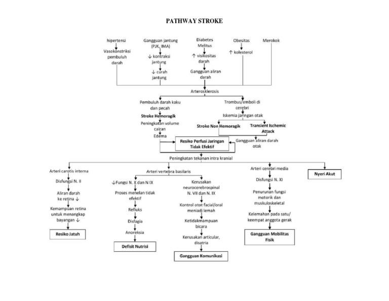 Pathway Stroke | PDF